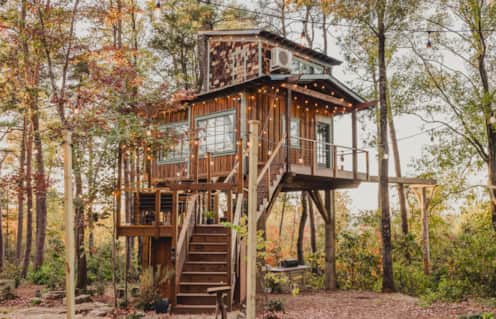 Home [treelinevacations.com]