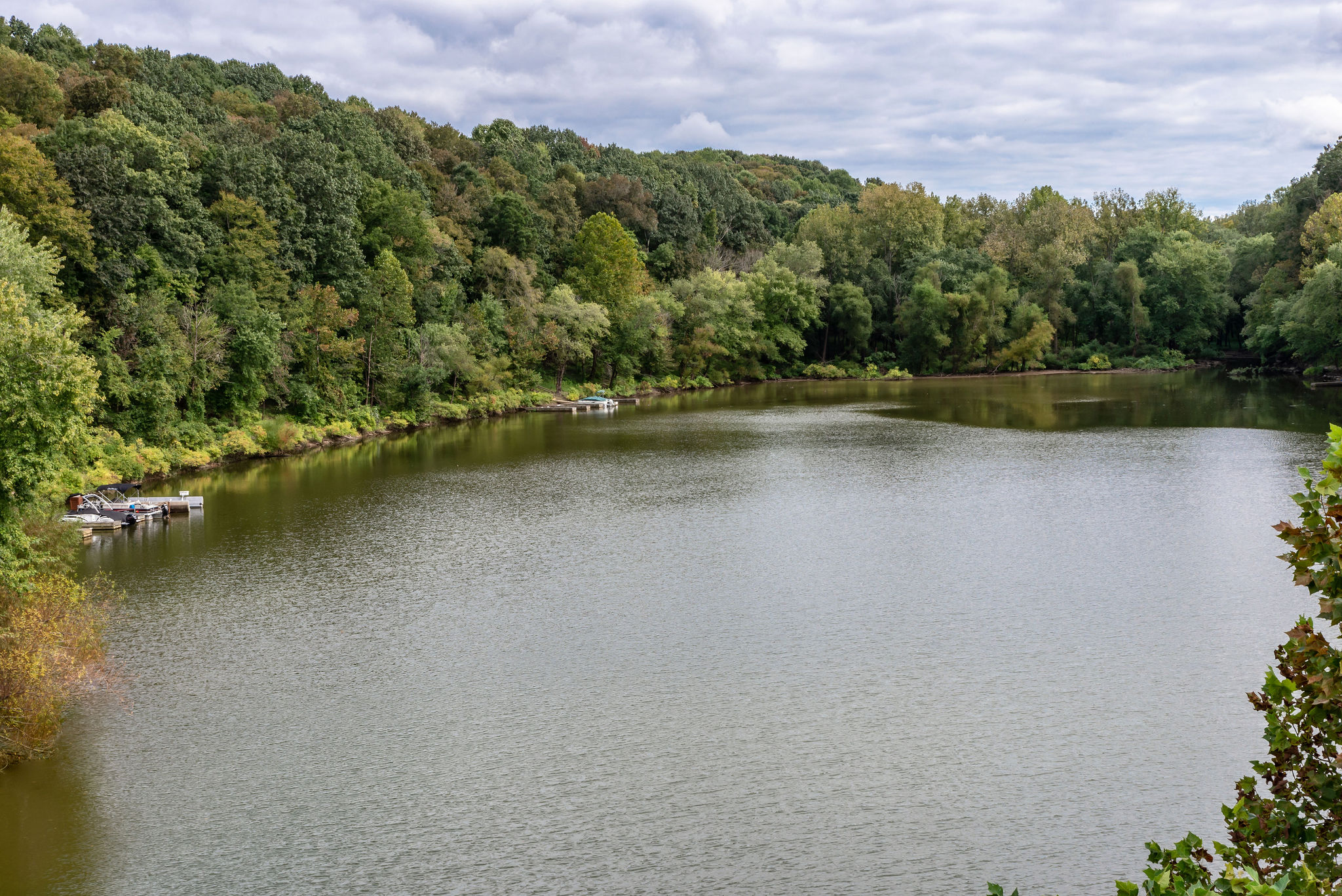 The Shady Pine-Barren River Lake, KY