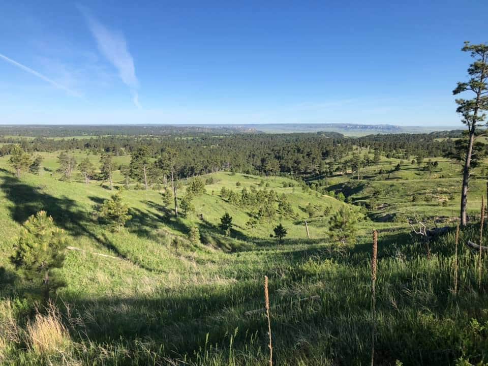 Home [www.ponderosahuntingranch.net]