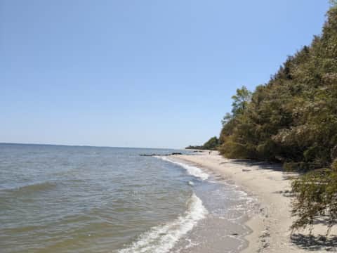 Home [www.matoakabeachcottages.com]