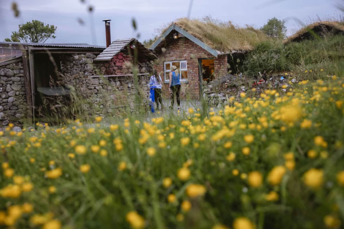 Home - Mayo Glamping, a magical wonderland