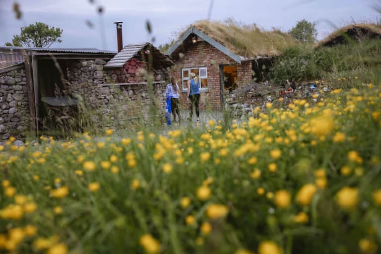Home - Mayo Glamping, a magical wonderland