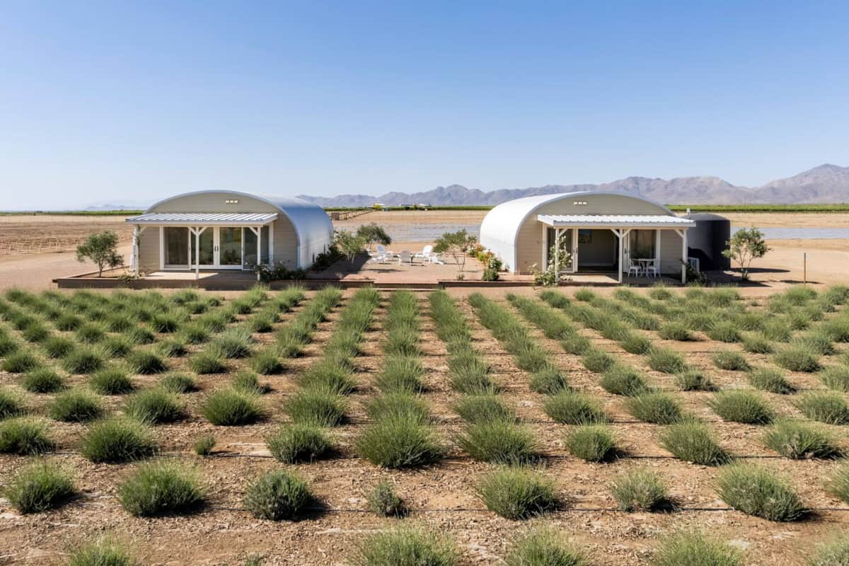 Farm Quonset Hut 2 - Rhumb Line Vineyard and Lavender Farm ...