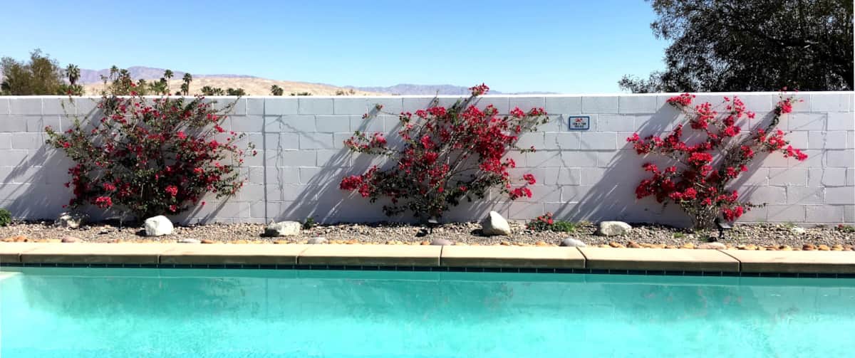 Alejo's Hideaways: Vacation Rentals and More