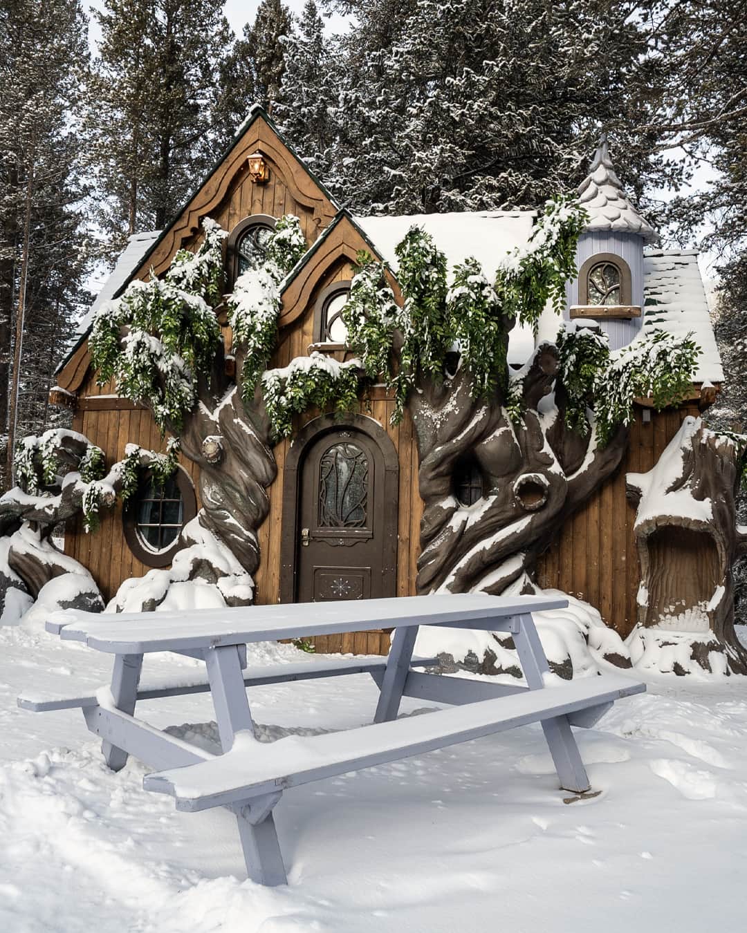 Tinkerbell's at Crowsnest Pass - Cabin in Crowsnest Pass