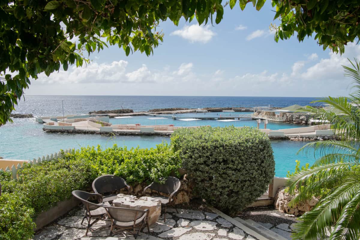 Sea Star Villa Curacao Ocean Resort - Villa in Willemstad