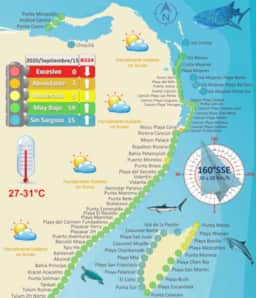 Sargassum Seaweed in the Riviera Maya