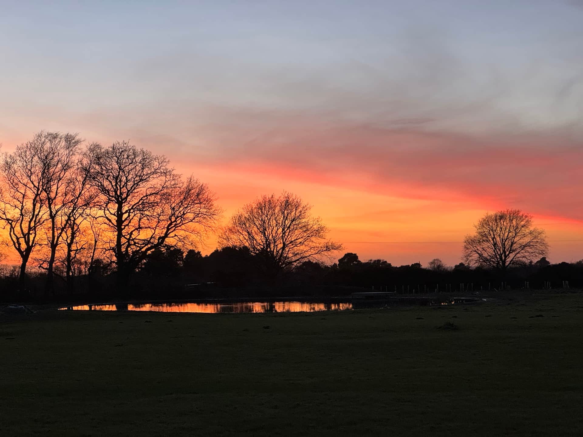 Luxury New Forest Cottages - Accommodation | Heathfield Estate