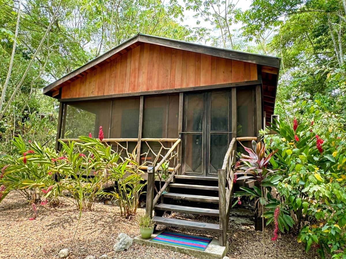 Tapir at Lost Compass Cabanas - Bungalow in San Ignacio