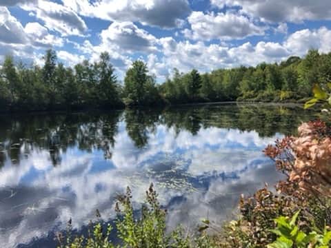 Frye Island Maine Rentals - Home