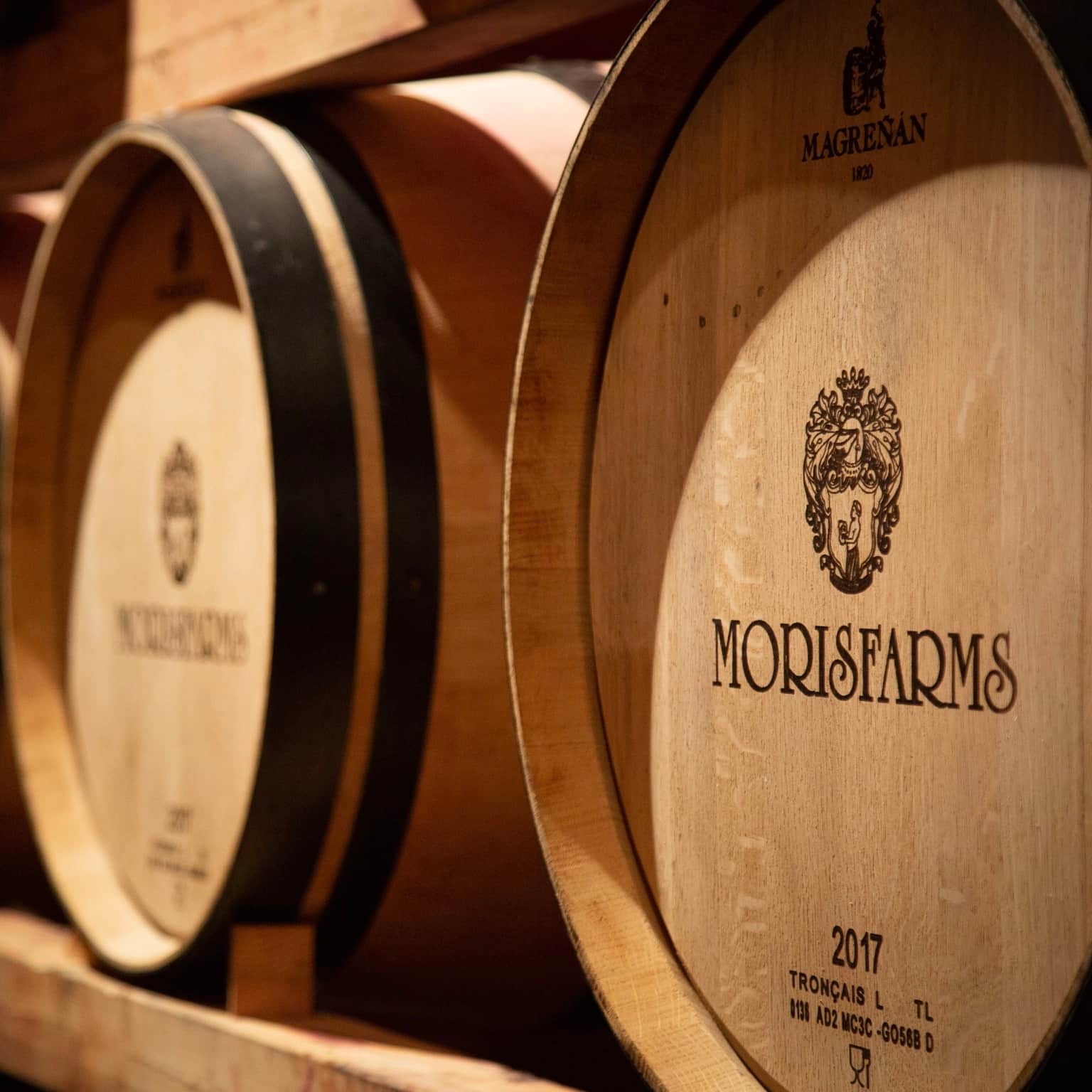 Morisfarms Winery On the Coast of Tuscany