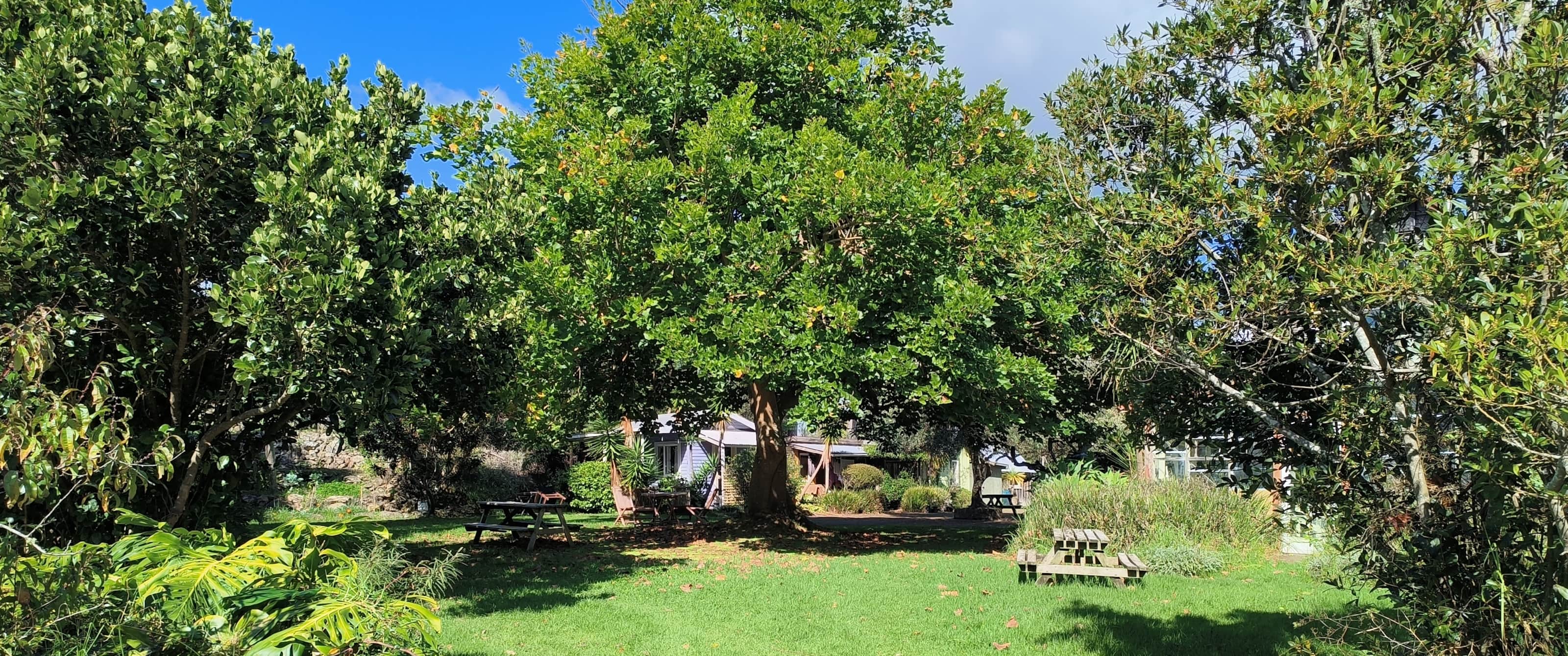 Fossil Bay Lodge - Waiheke Island's Top Glamping Destination