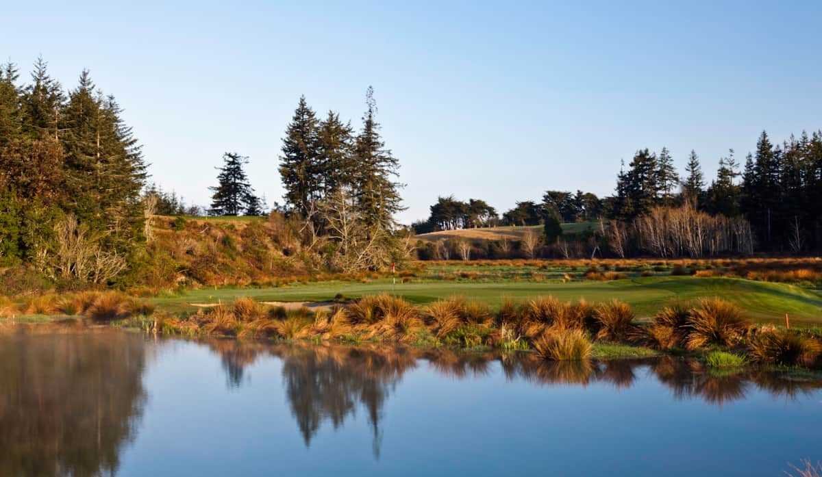 Home [www.bandonvistas.com]