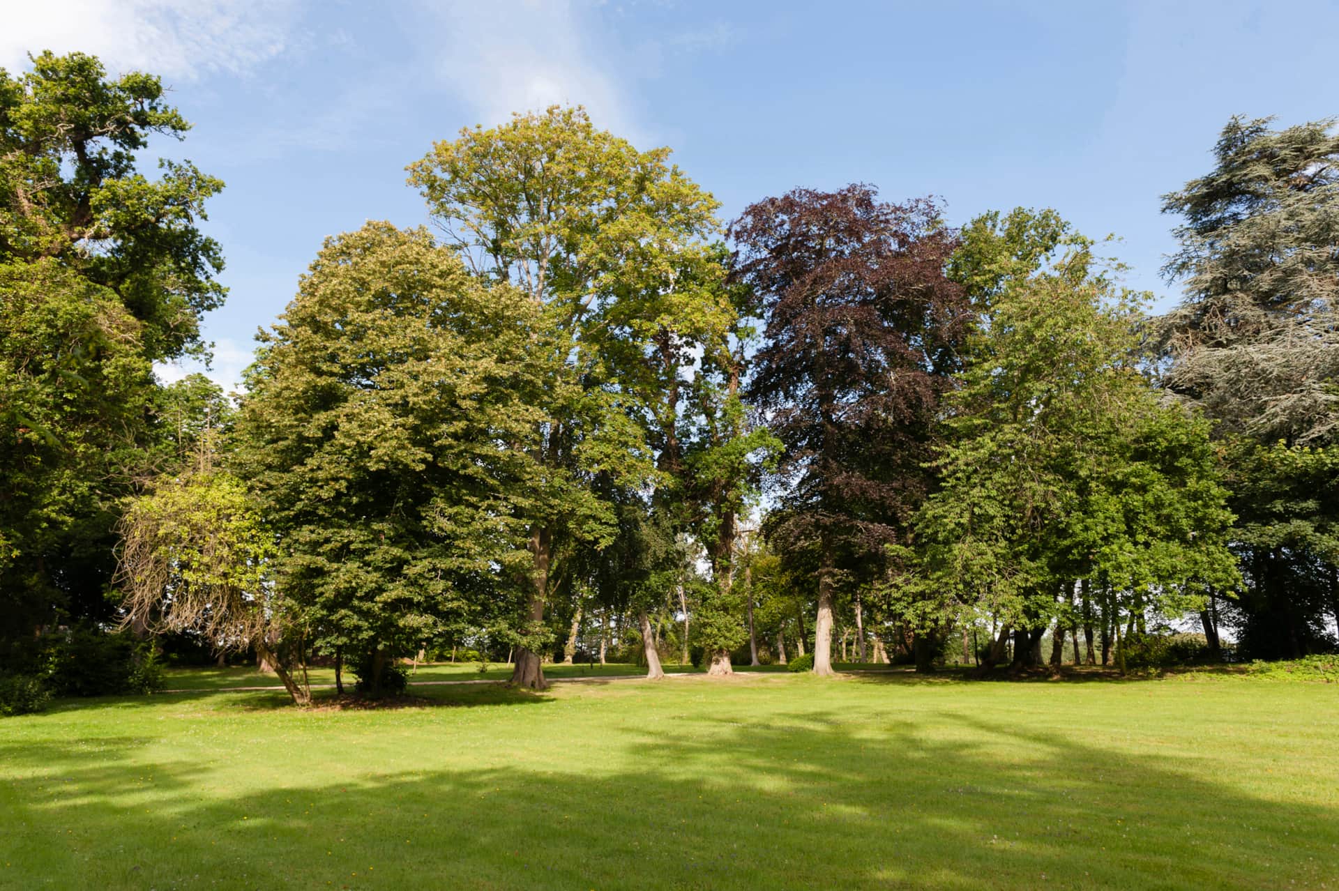 Luxury New Forest Cottages - Accommodation | Heathfield Estate