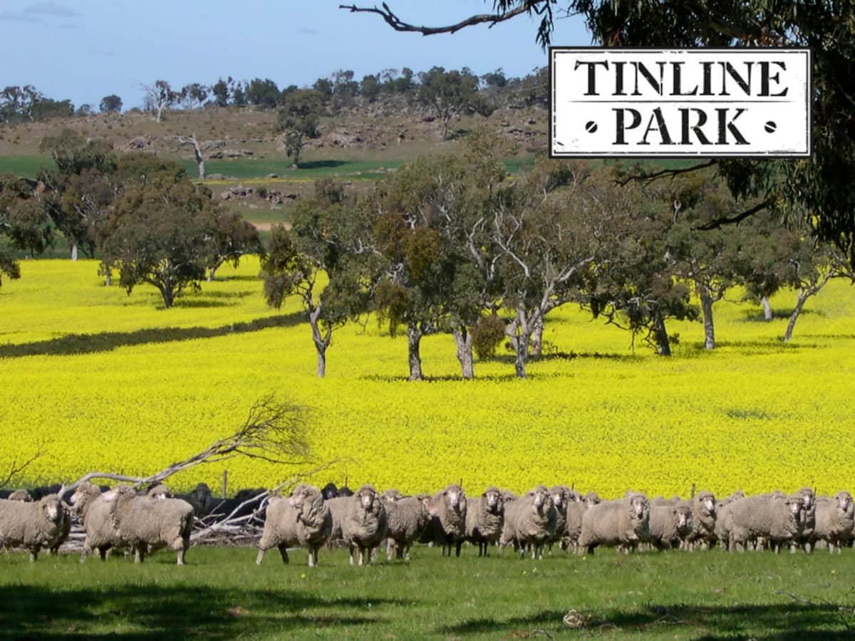 Tinline Park - Rabbiter's Hut