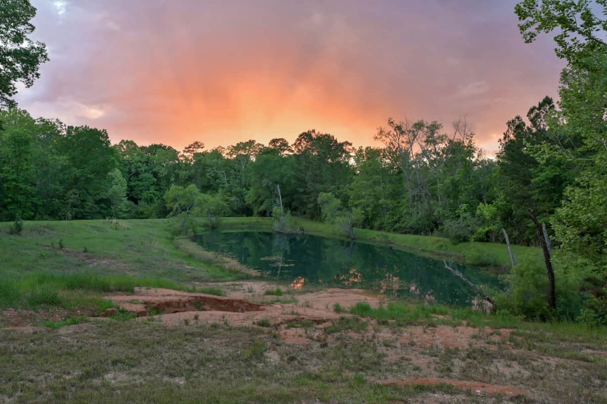 The Best Luxury Glamping Geo Dome, Mirror House Cabin, and more In ...