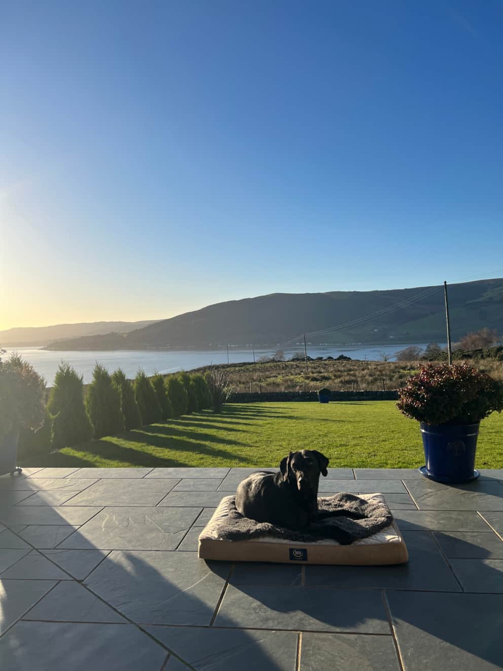 Home [www.knockderrylodge.com]