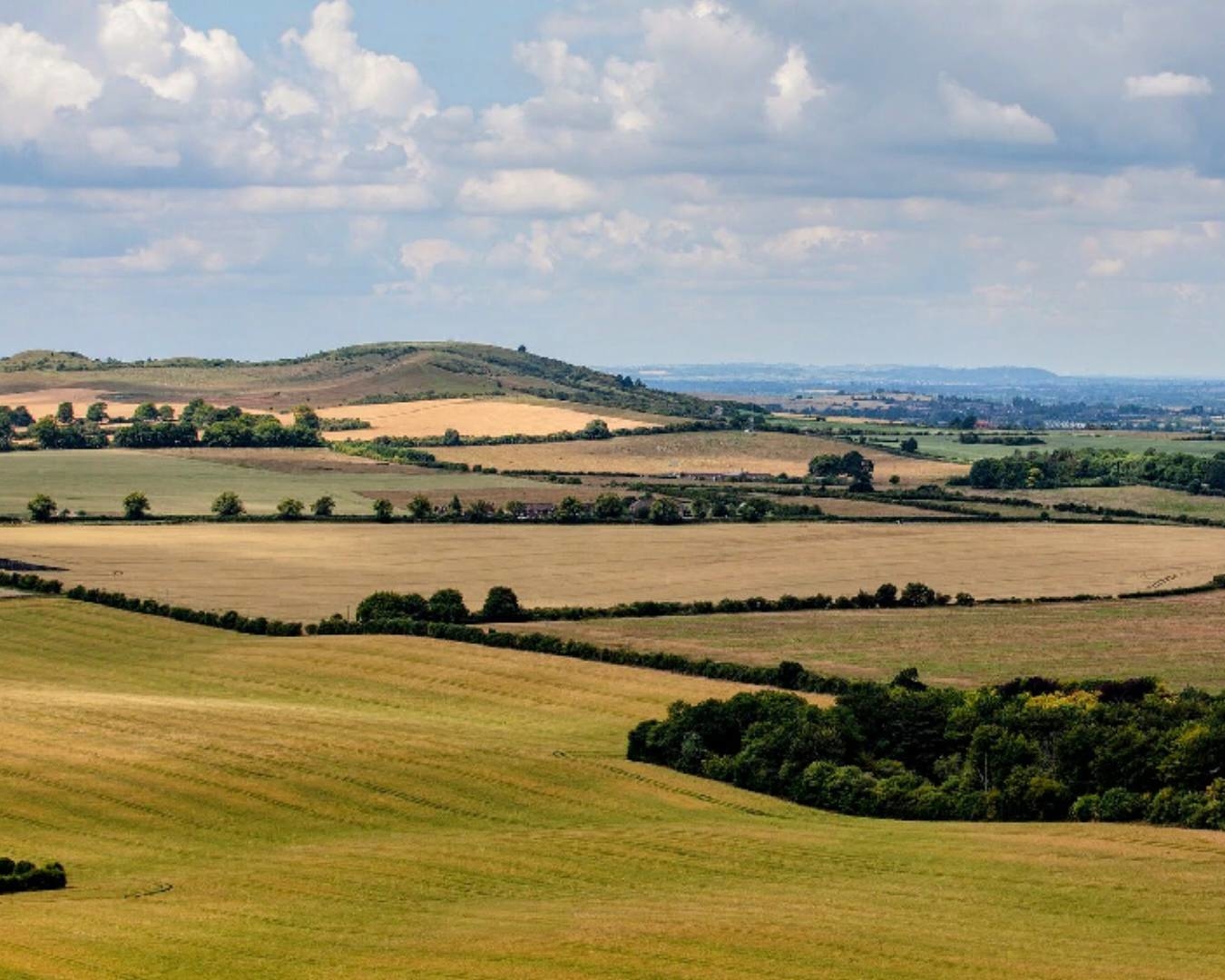 Boating Holidays in the Chiltern Hills, near London | Chiltern Canal ...