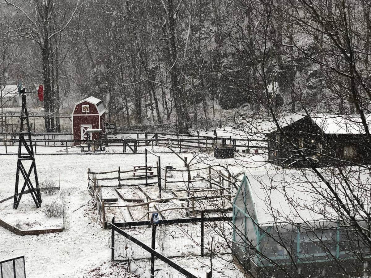 Home [senecarocksbarn.com]