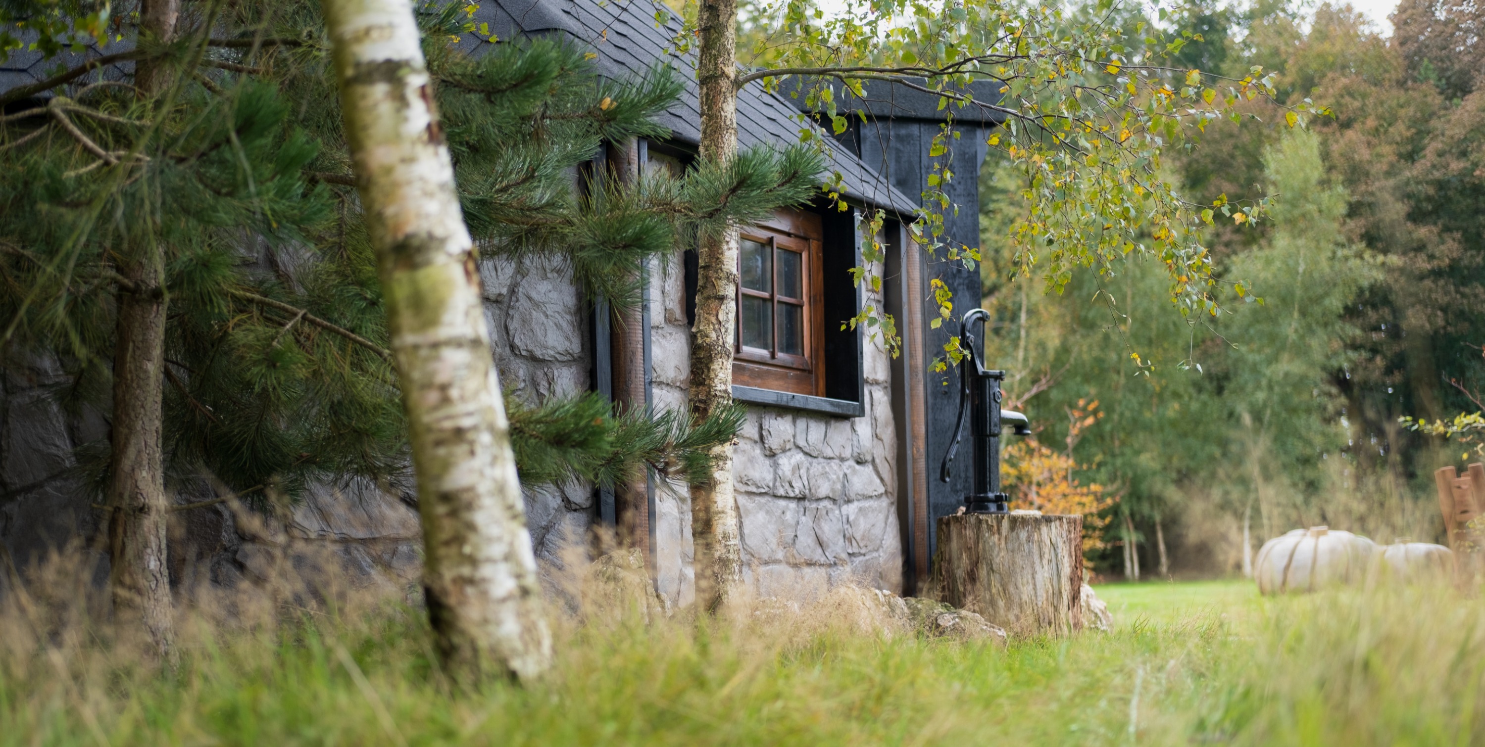 Home [northhillfarm.co.uk]