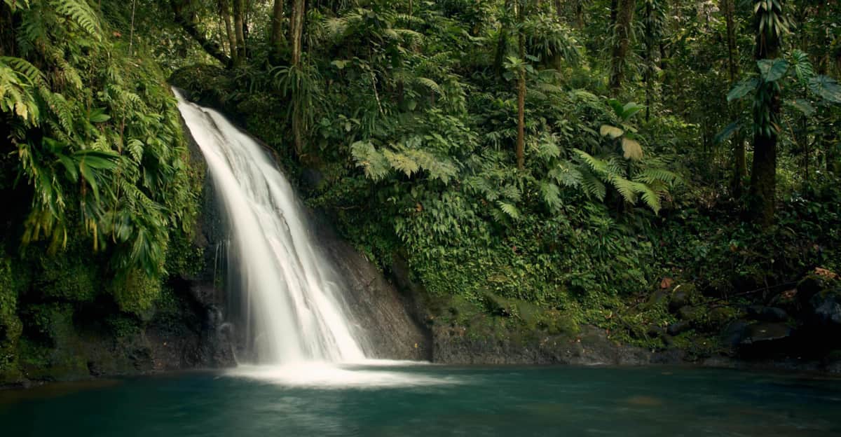 Solindo Stays | Vacation Rentals | Costa Rica