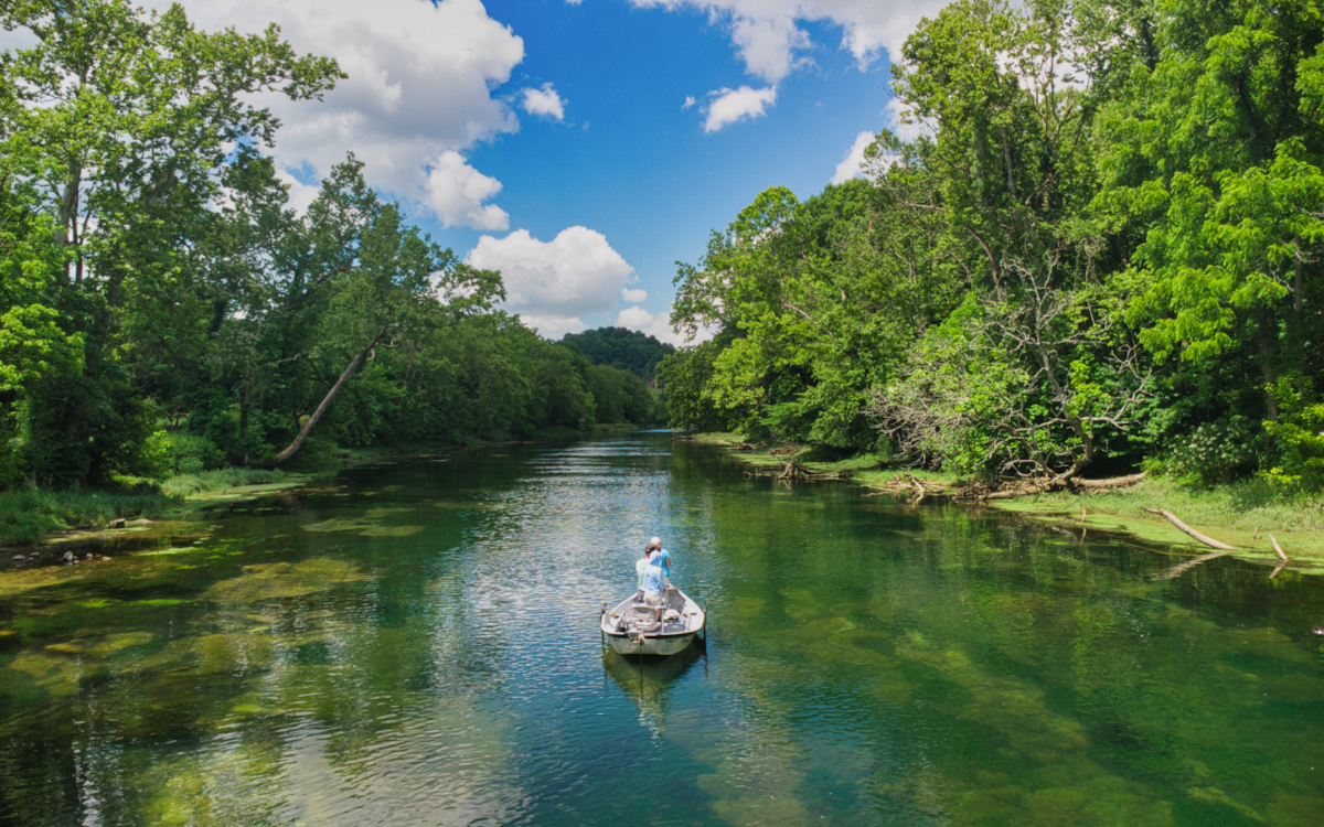 Early Spring Fly Fishing on the Watauga and South Holston Rivers