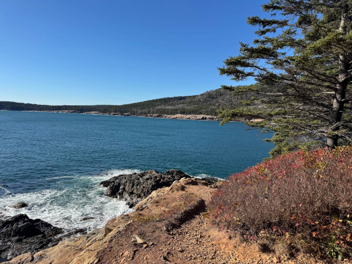 Acadia Horizon Cottage - Vacation Rentals Mount Desert Island Maine ...