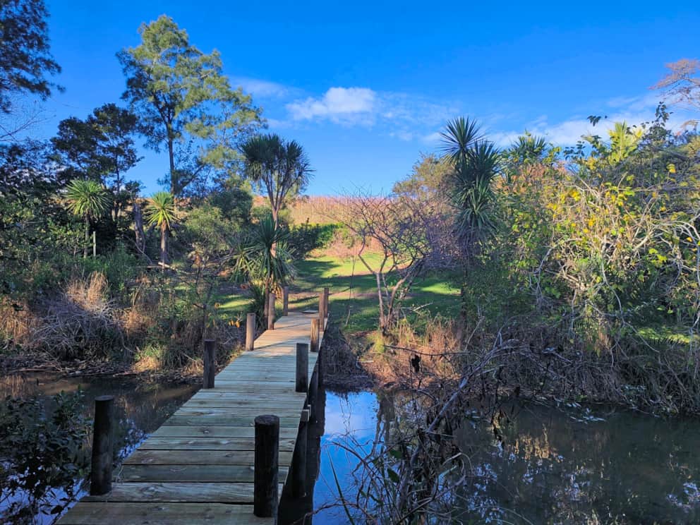 Fossil Bay Lodge - Waiheke Island's Top Glamping Destination