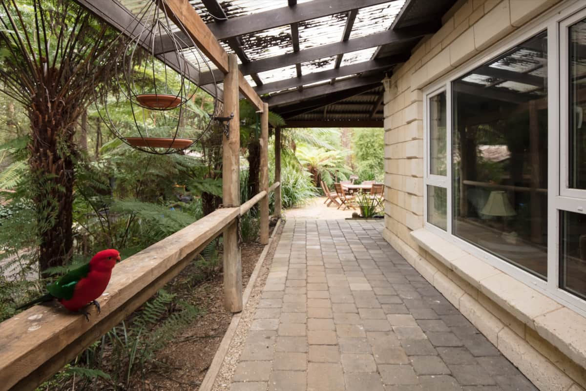 Private rainforest with river:Windmill lodge - Vacation Home in Mount ...