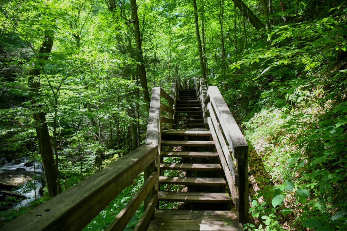 Old Clark Inn - "A MON Forest Inn"