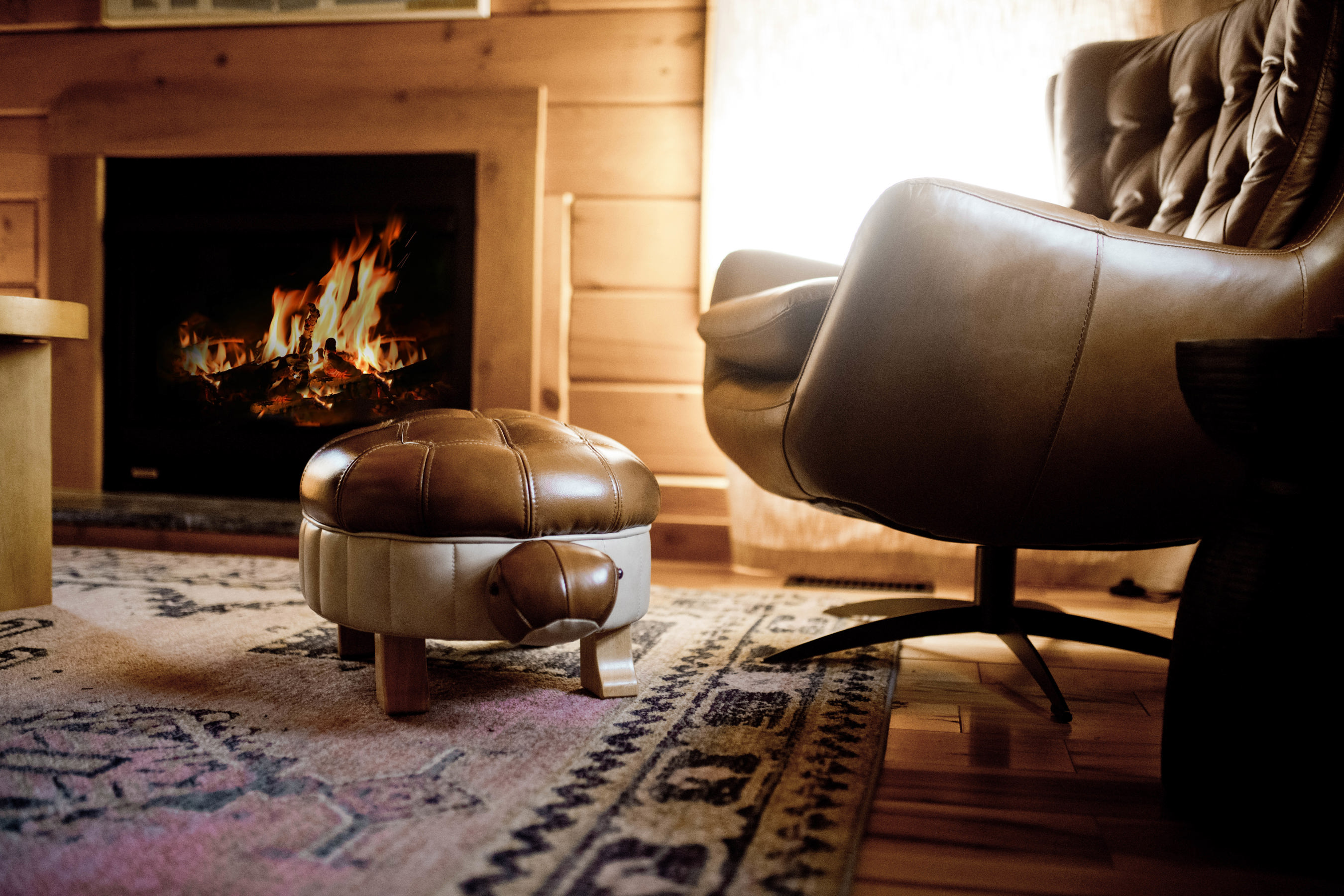 Terrapin Hideaway I Cabin Rentals in Hocking Hills, Ohio
