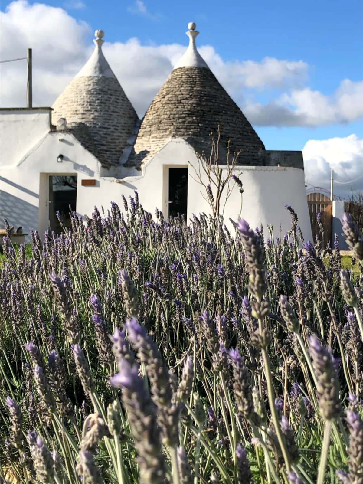 TRULLO TRILLI APULIA INICIO