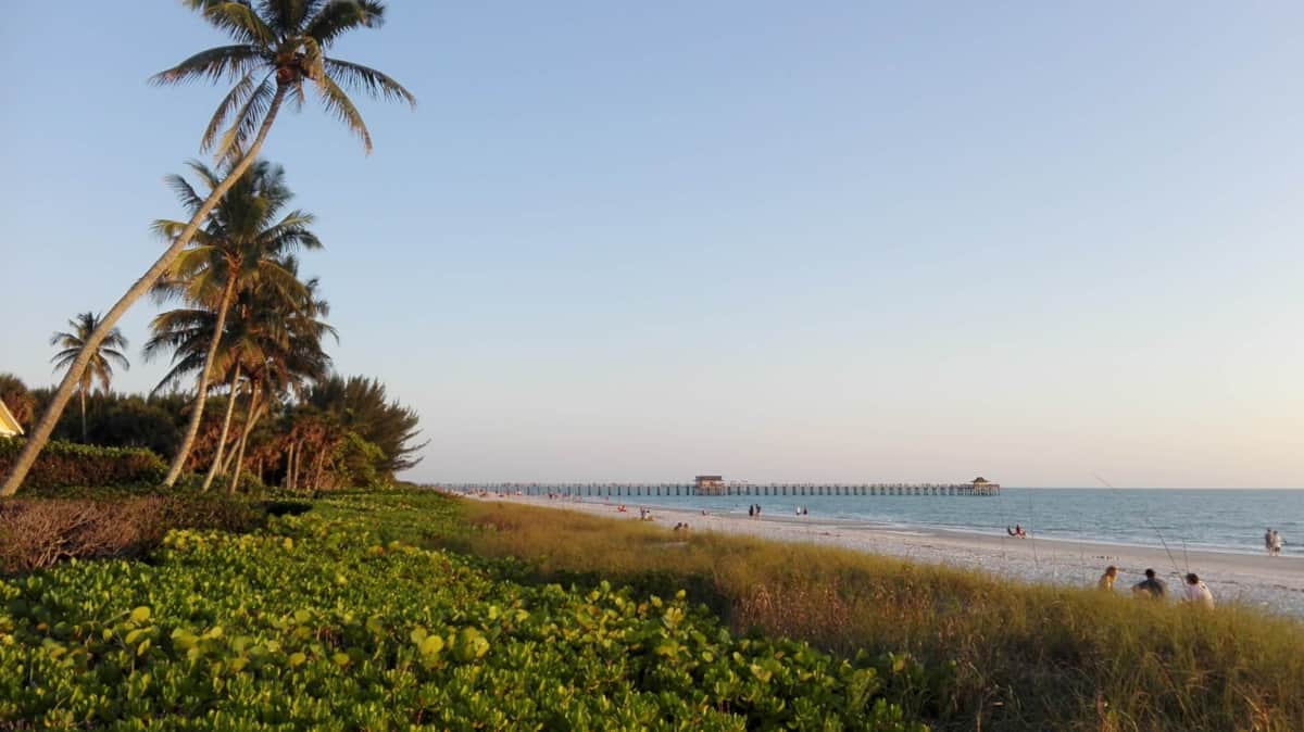 Home [fl-rabbit.lodgify.com]