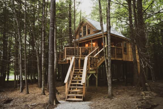 Treehouse Information