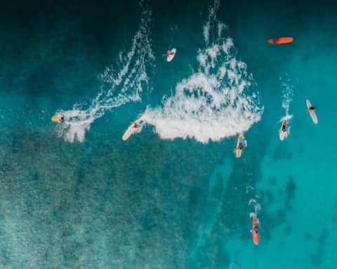 Home [surfandsandbarbados.com]