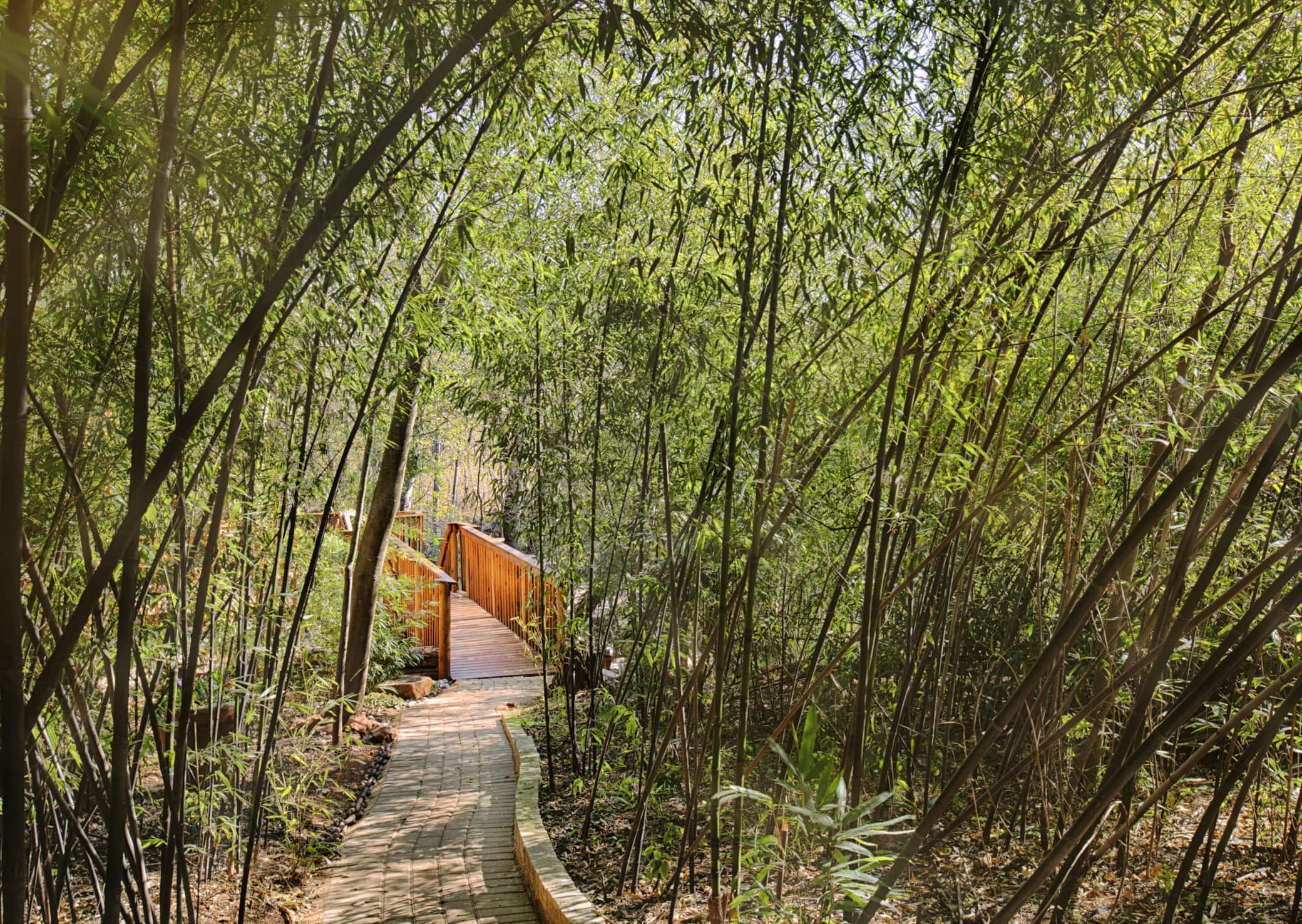 Home [www.stay-elsewhere.com]