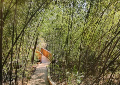 Home [www.stay-elsewhere.com]