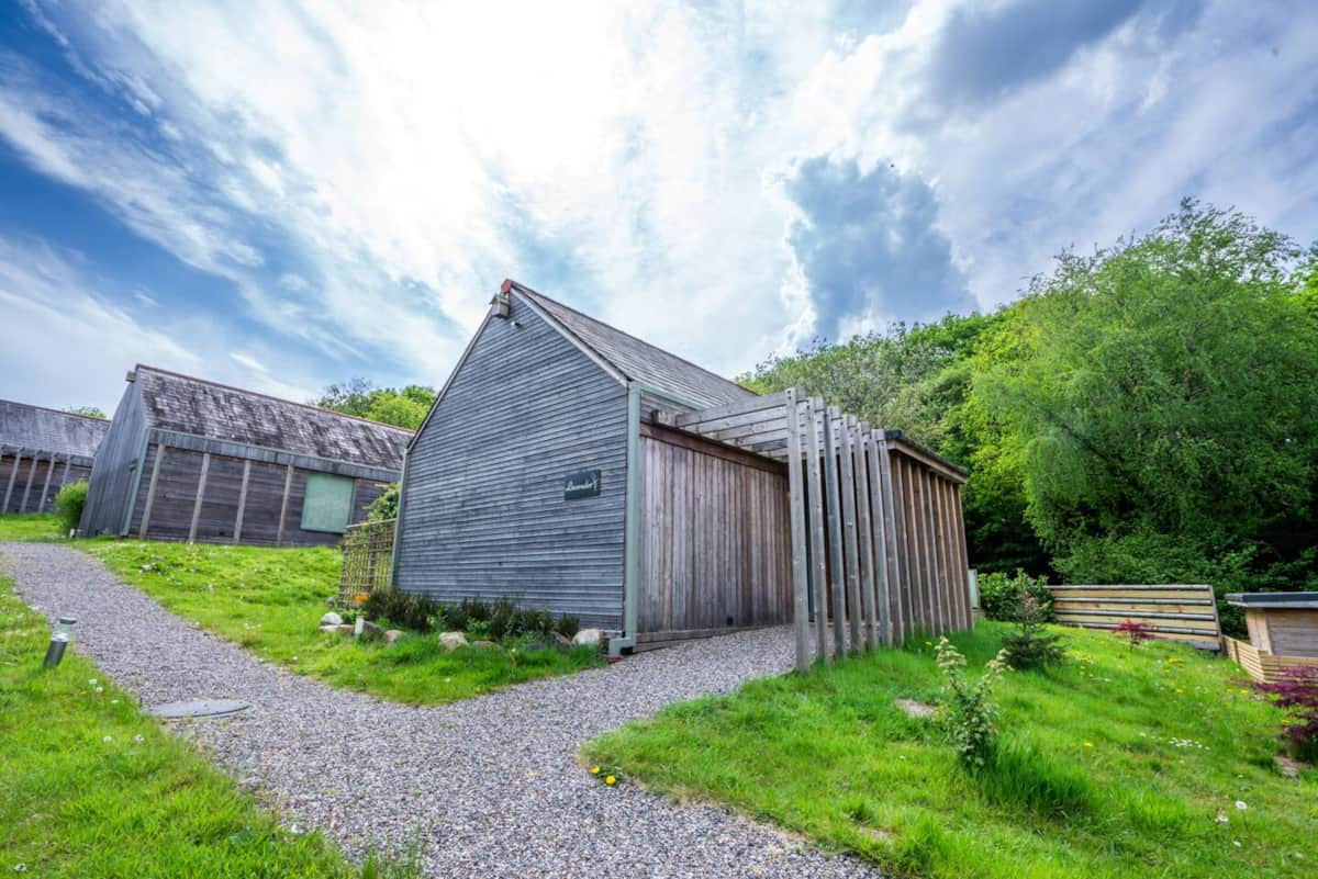 Lavender Lodge•1BR•Hot Tub• Sauna• Black Mountain - Vacation Home in ...