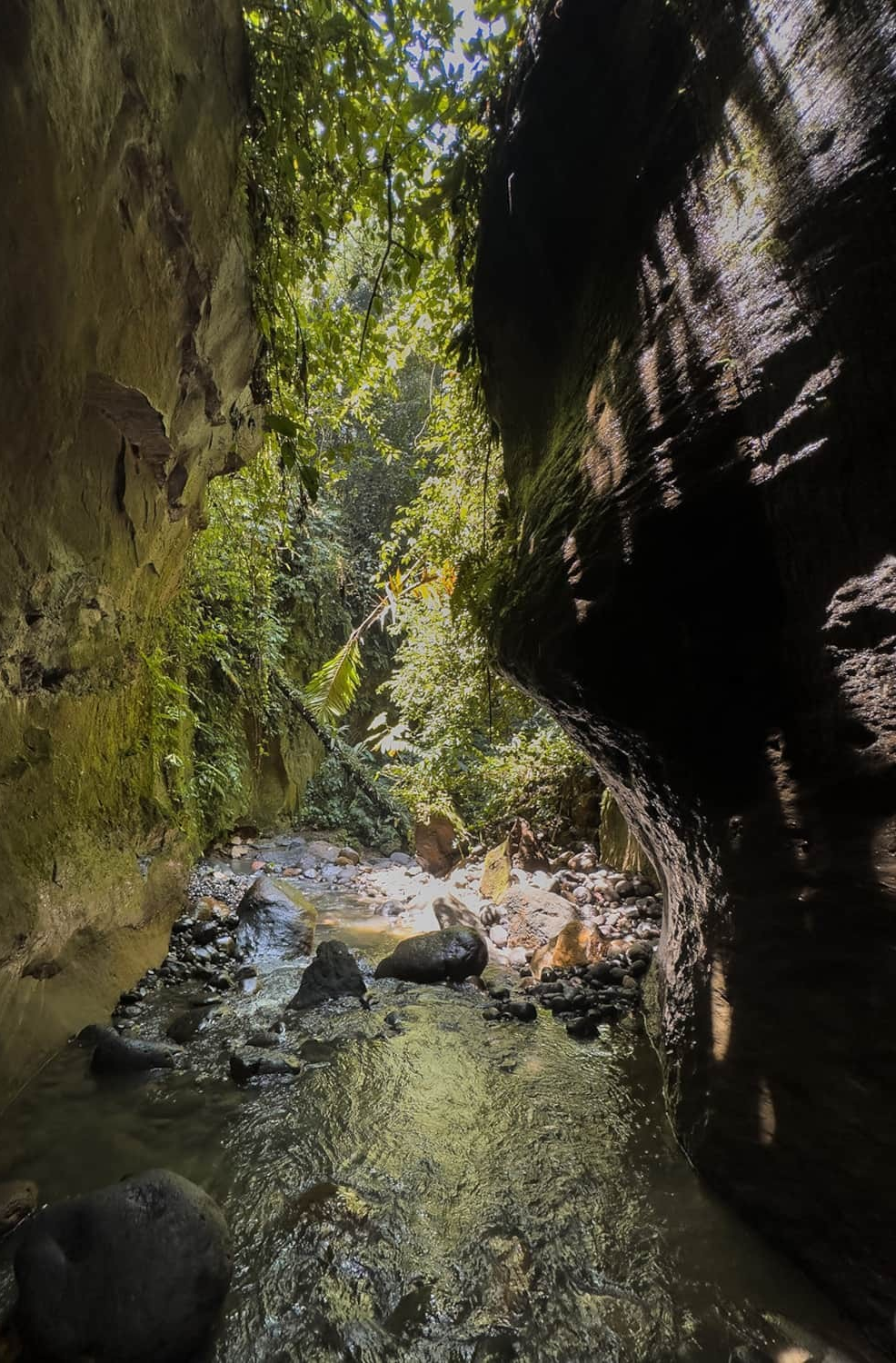 Add ons I Breakfast, jungle tours and massages at WILD WASI