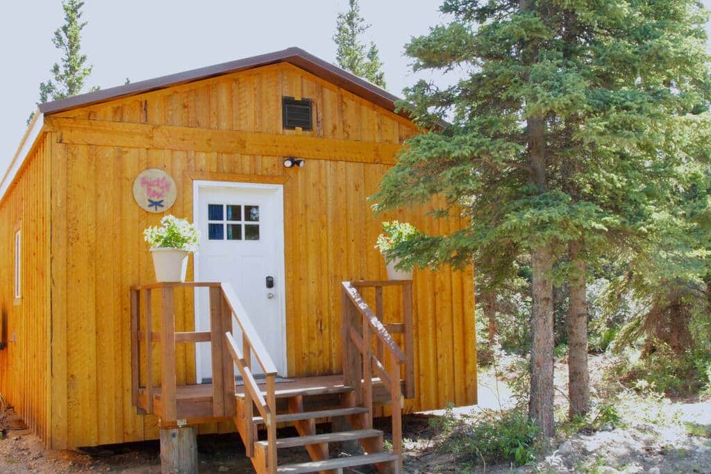 Prickly Rose Cabin-Arctic Dragonfly Inn - Cabin in Healy