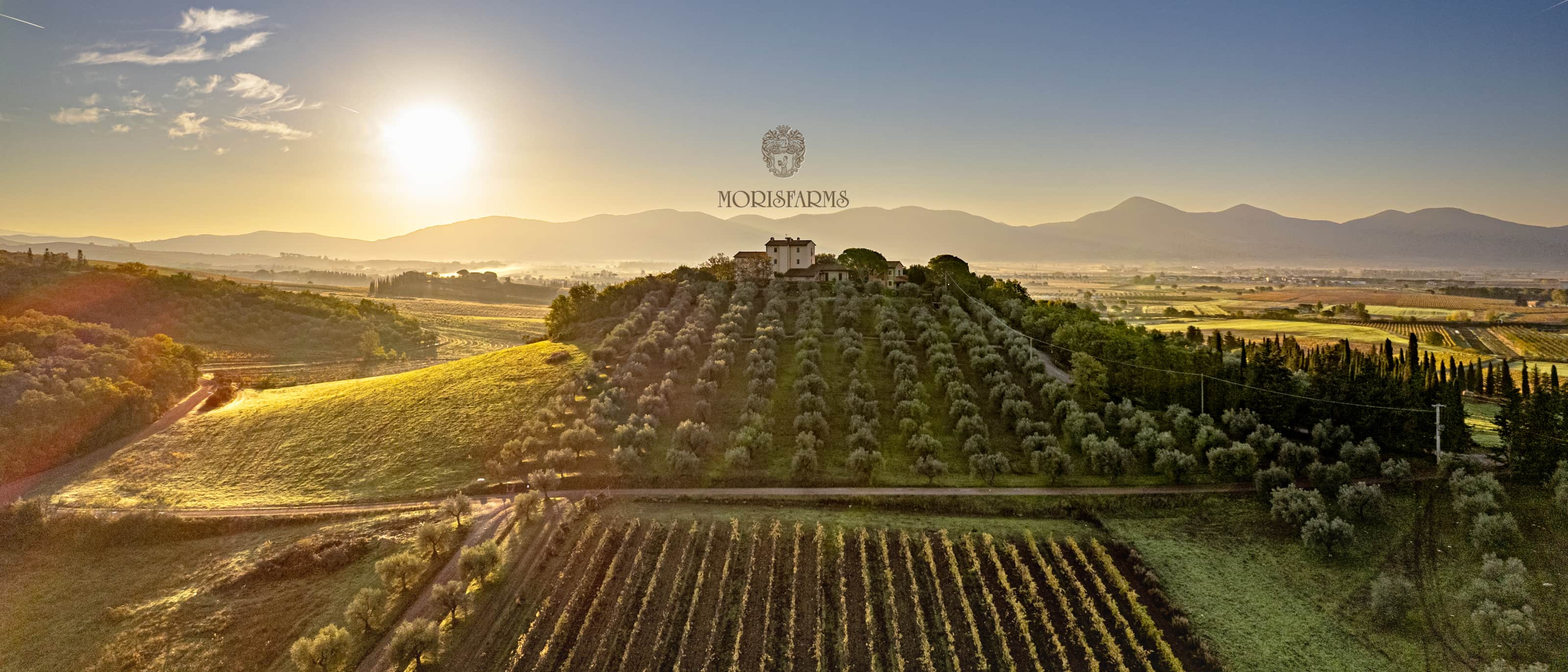 Morisfarms Winery On the Coast of Tuscany