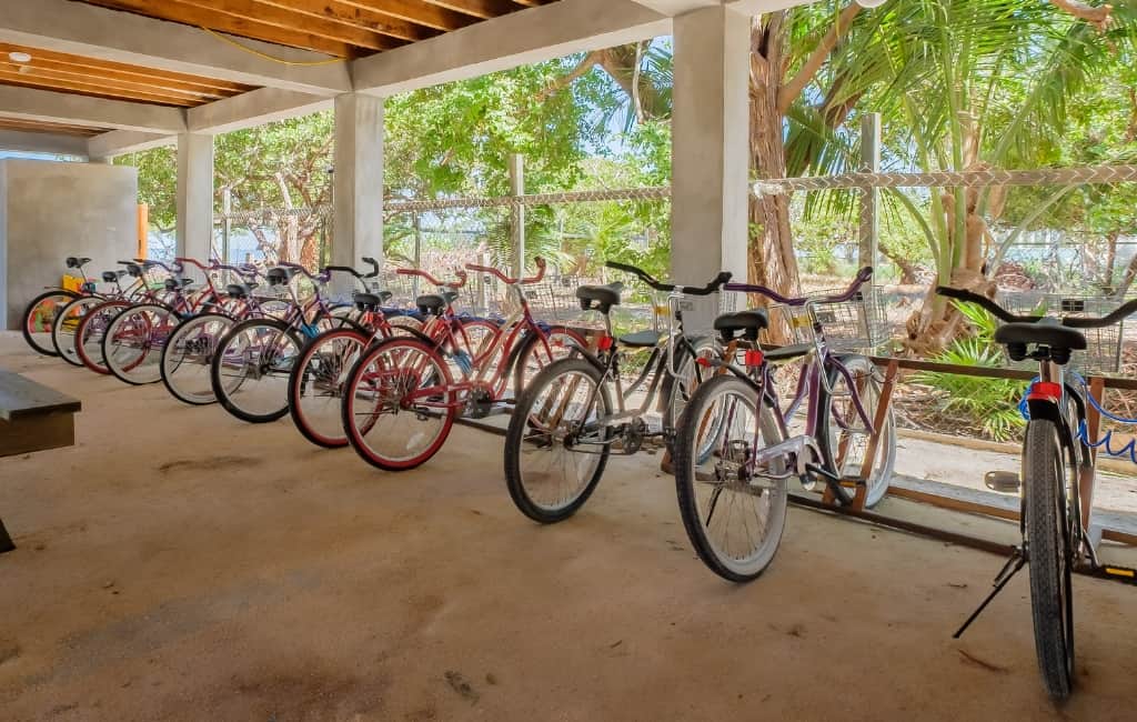 Infinite Sea | Bicycle Rental Waiver