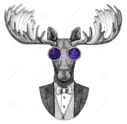 Spruce Moose Private 2 Bedroom Apartment┃Sauna┃11mile World Class Ski