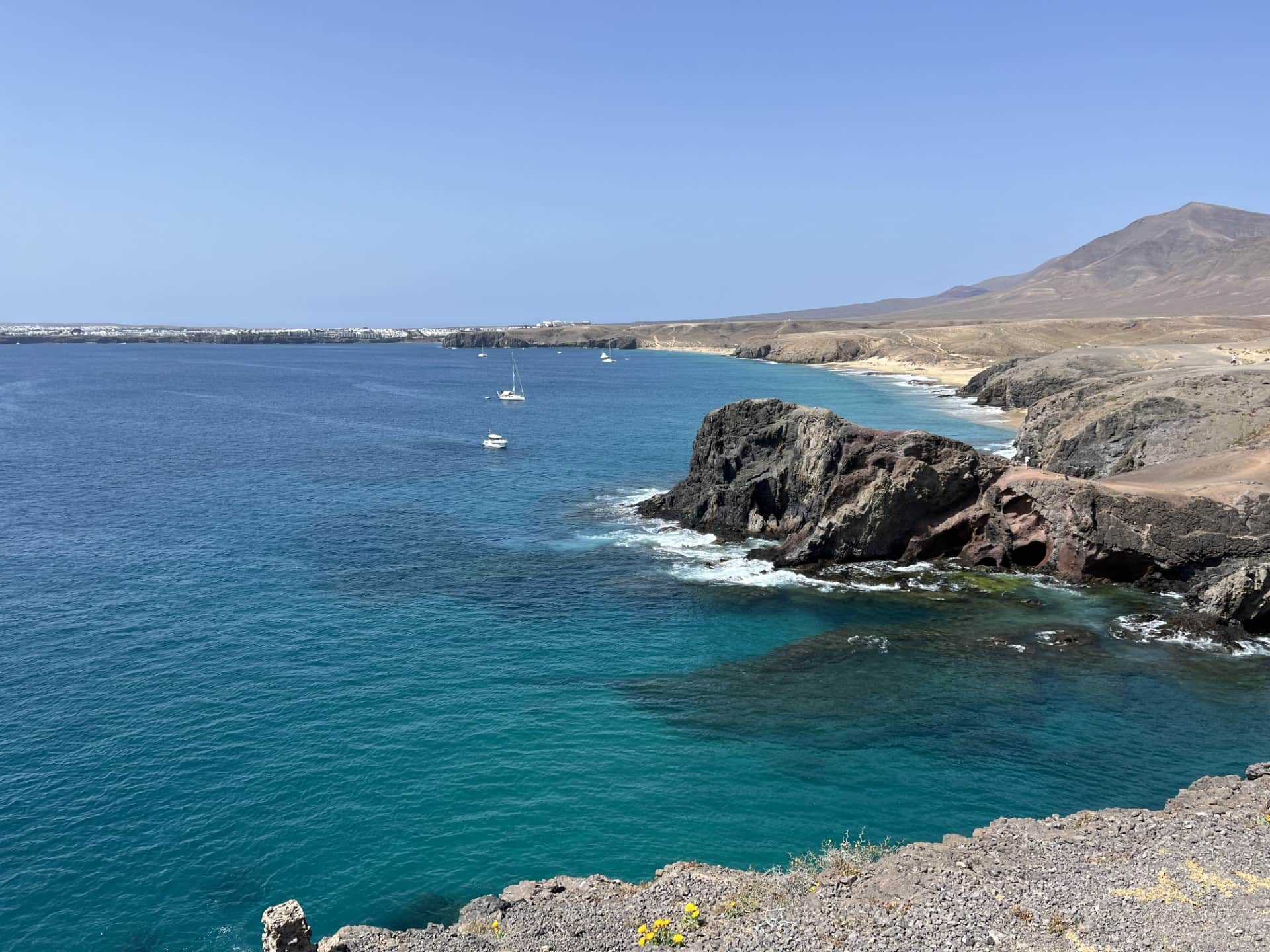 welcome to Lucy homes