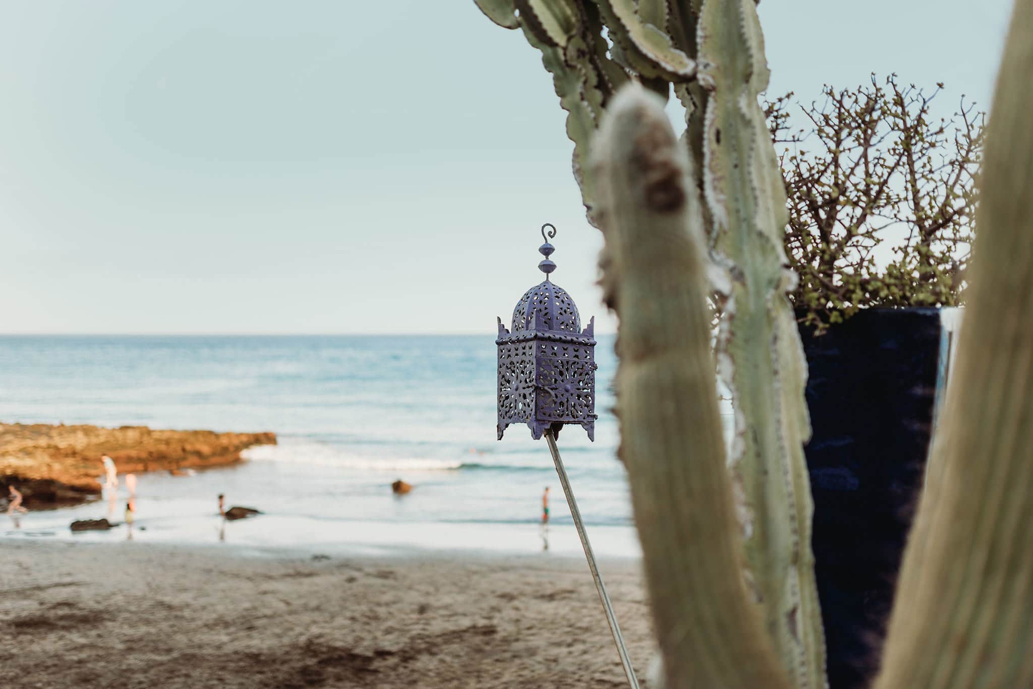 welcome to Lucy homes