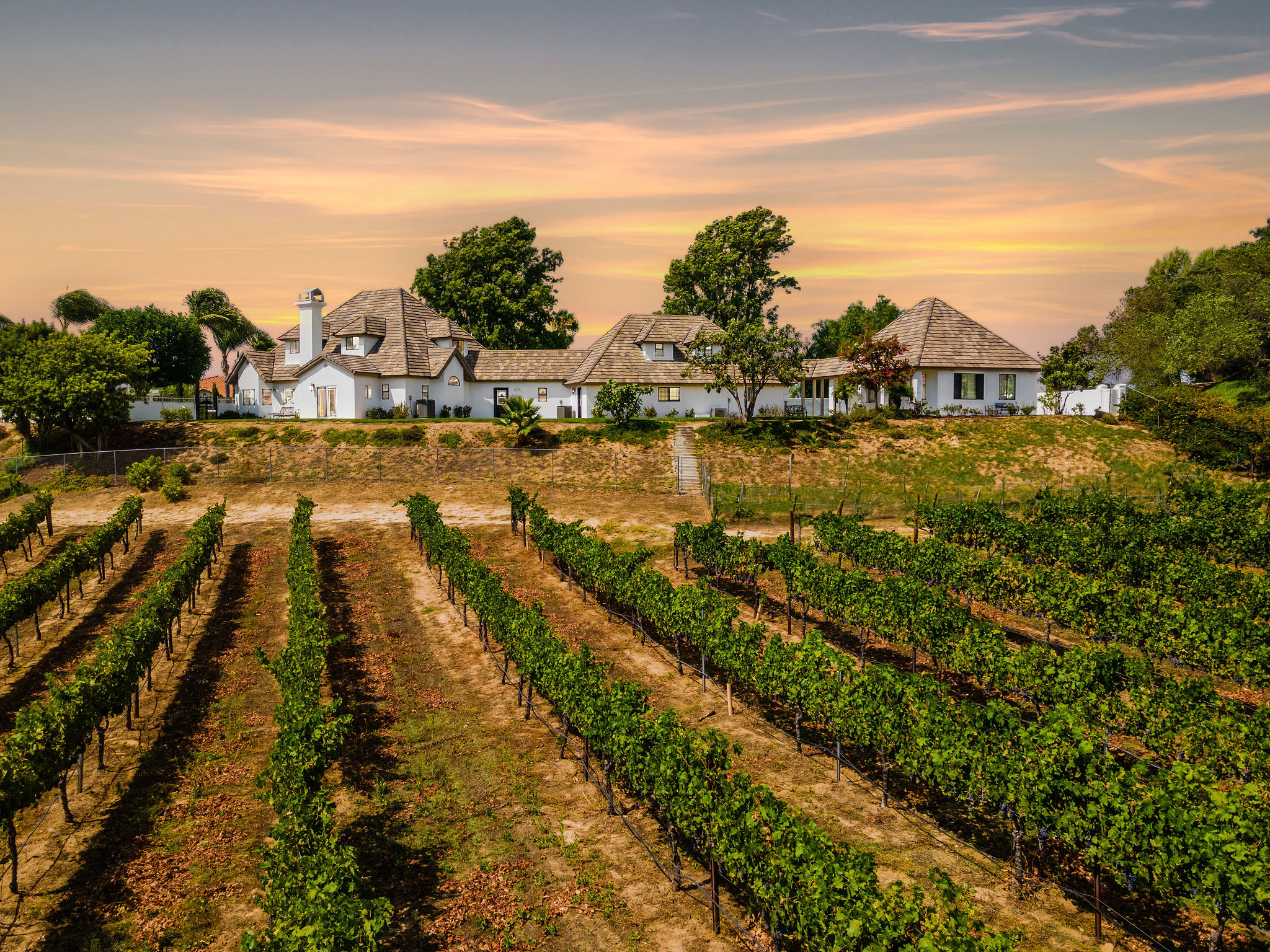 Chateau Blanc Vineyard Estate - Temecula, CA