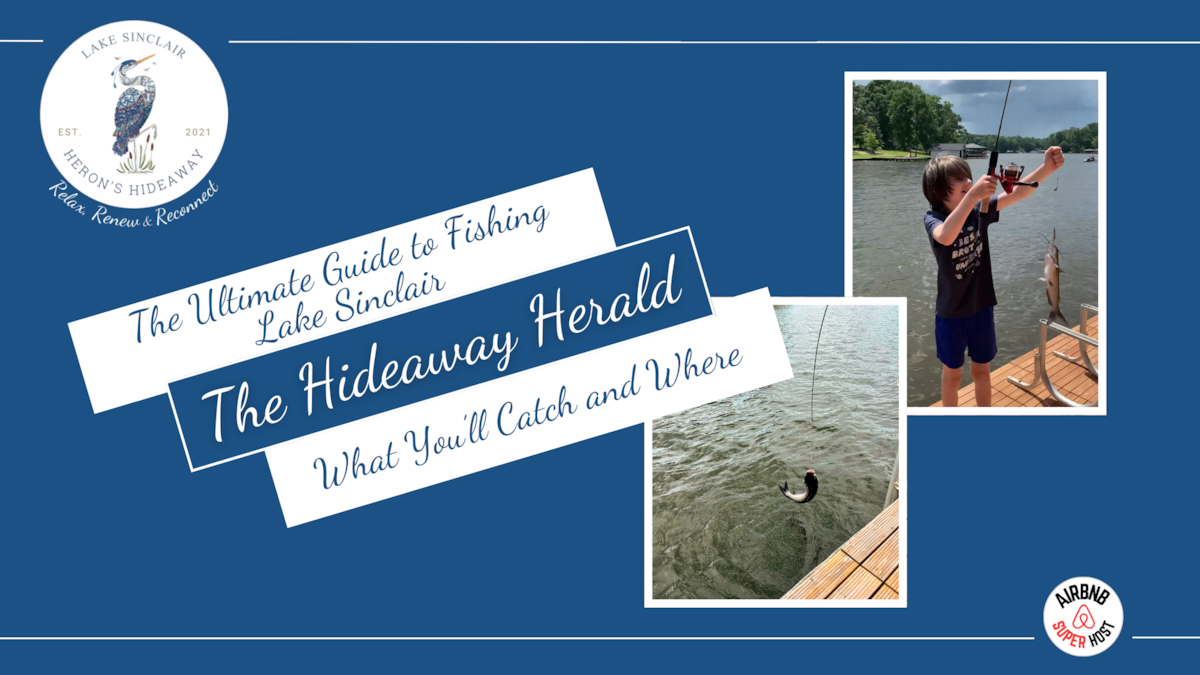 The Ultimate Guide to Fishing in Lake Sinclair: What You'll Catch and Where