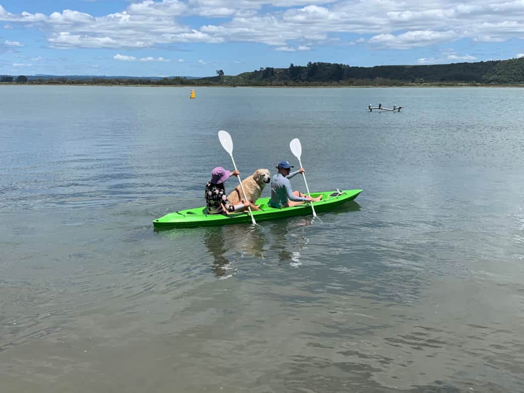 Home [www.690pukehina.com]