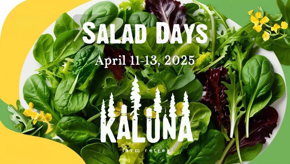 Salad Days at Kaluna