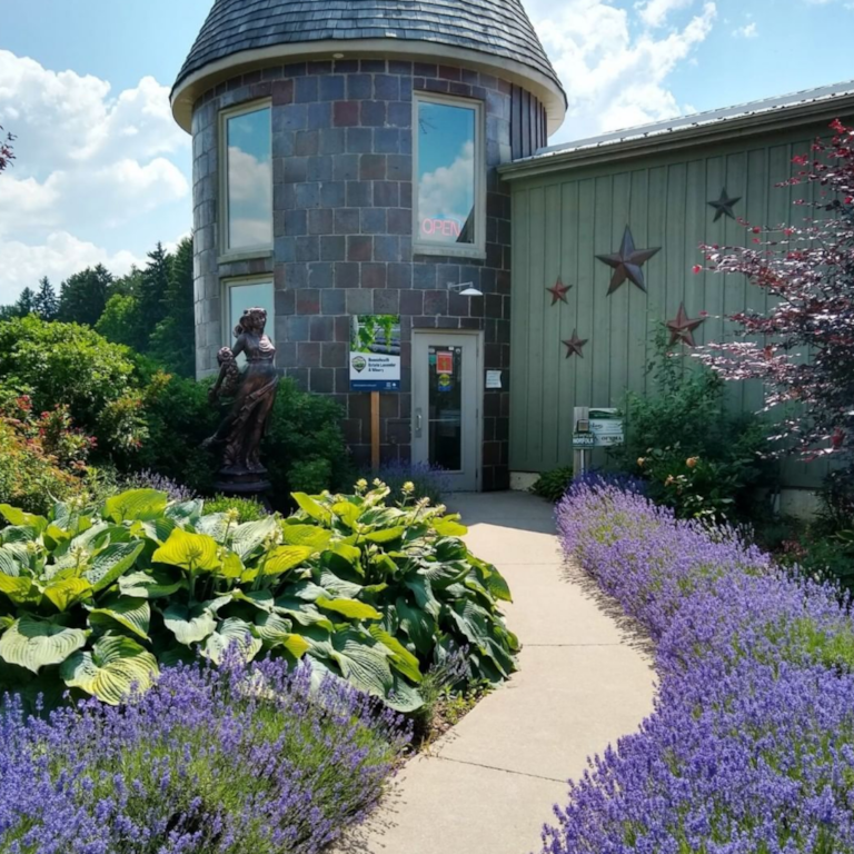 Bonnieheath Estate Lavender & Winery Bed and Breakfast